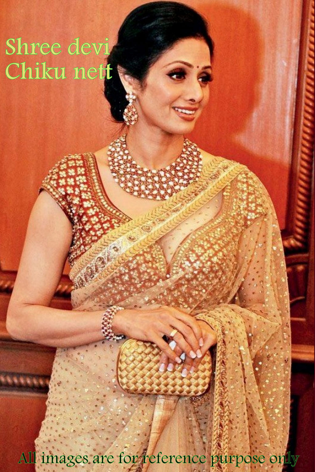 Shree Devi Brown Net Saree